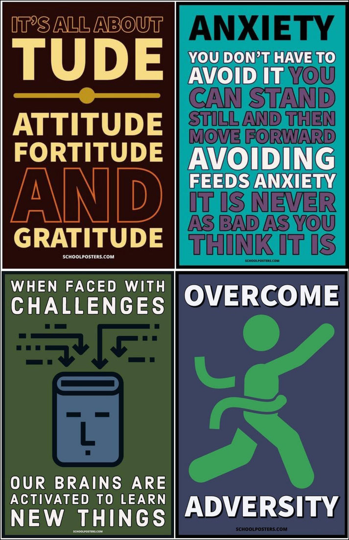 High School Large Poster Package – SchoolPosters.com LLC