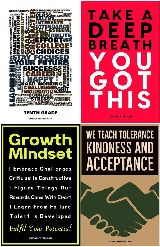 High School Large Poster Package – SchoolPosters.com LLC